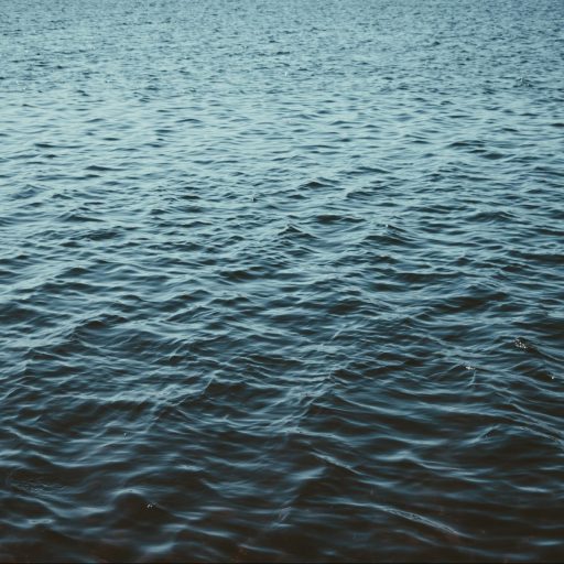 News | Sarah Dry